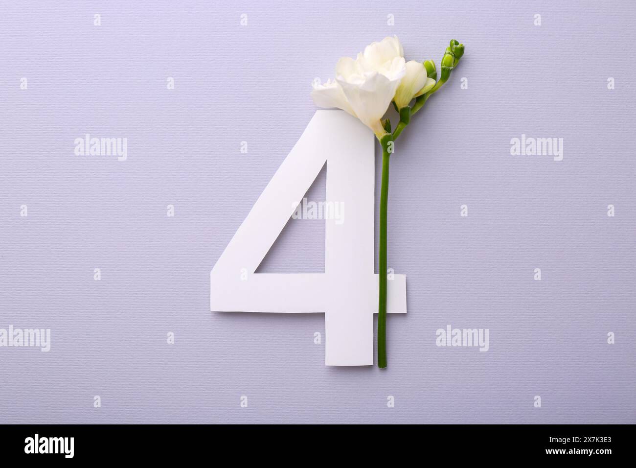 Paper number 4 and beautiful flower on light grey background, top view ...