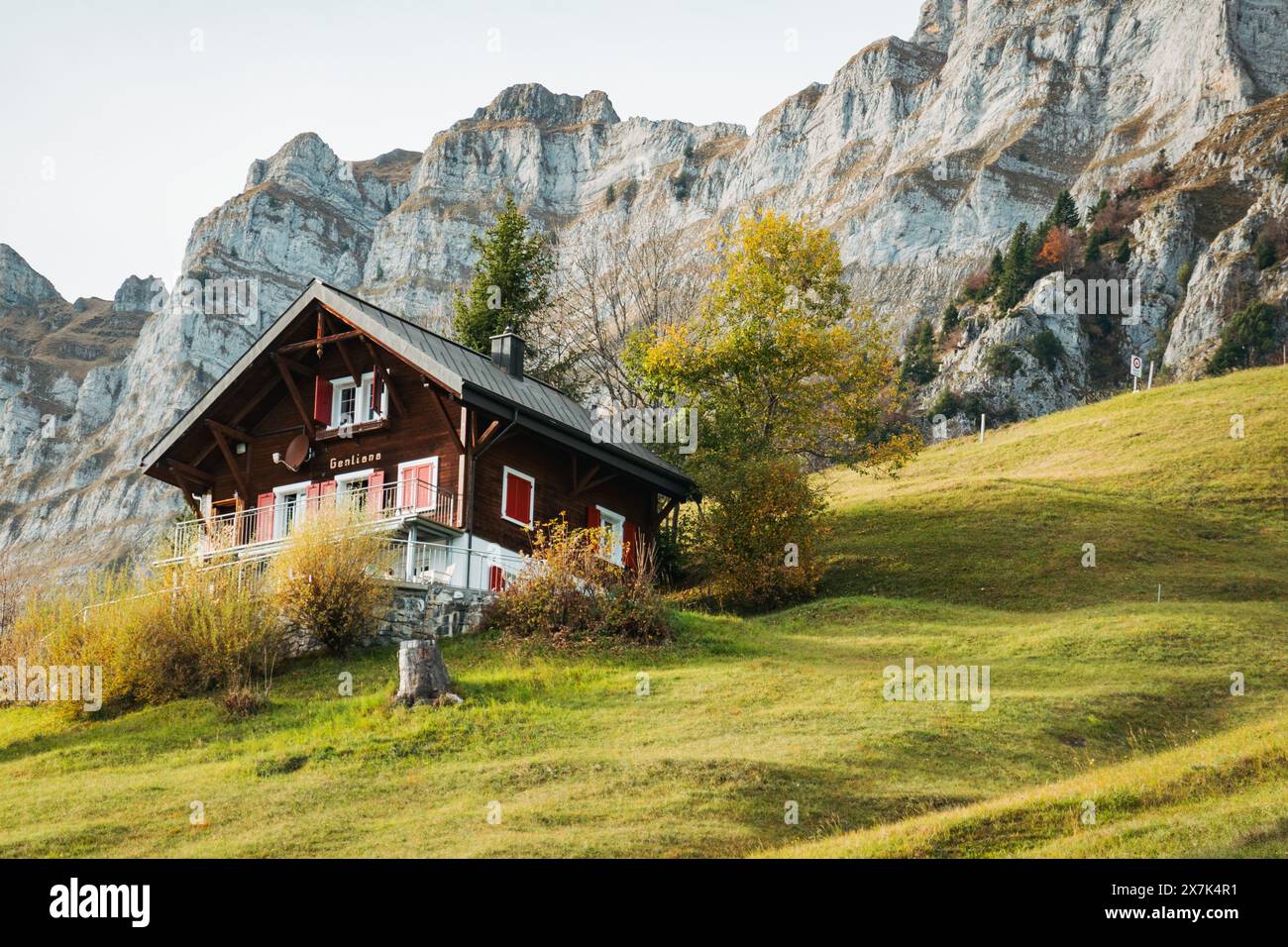A traditional Swiss chalet nestled on a grassy hill in front of the ...