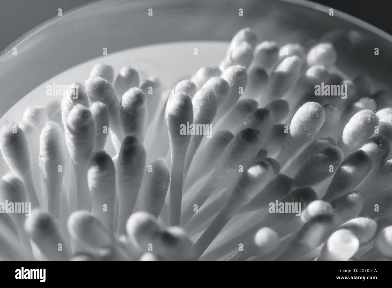 Cotton swabs for ears in a box. Sticks suitable for the ear care Stock ...