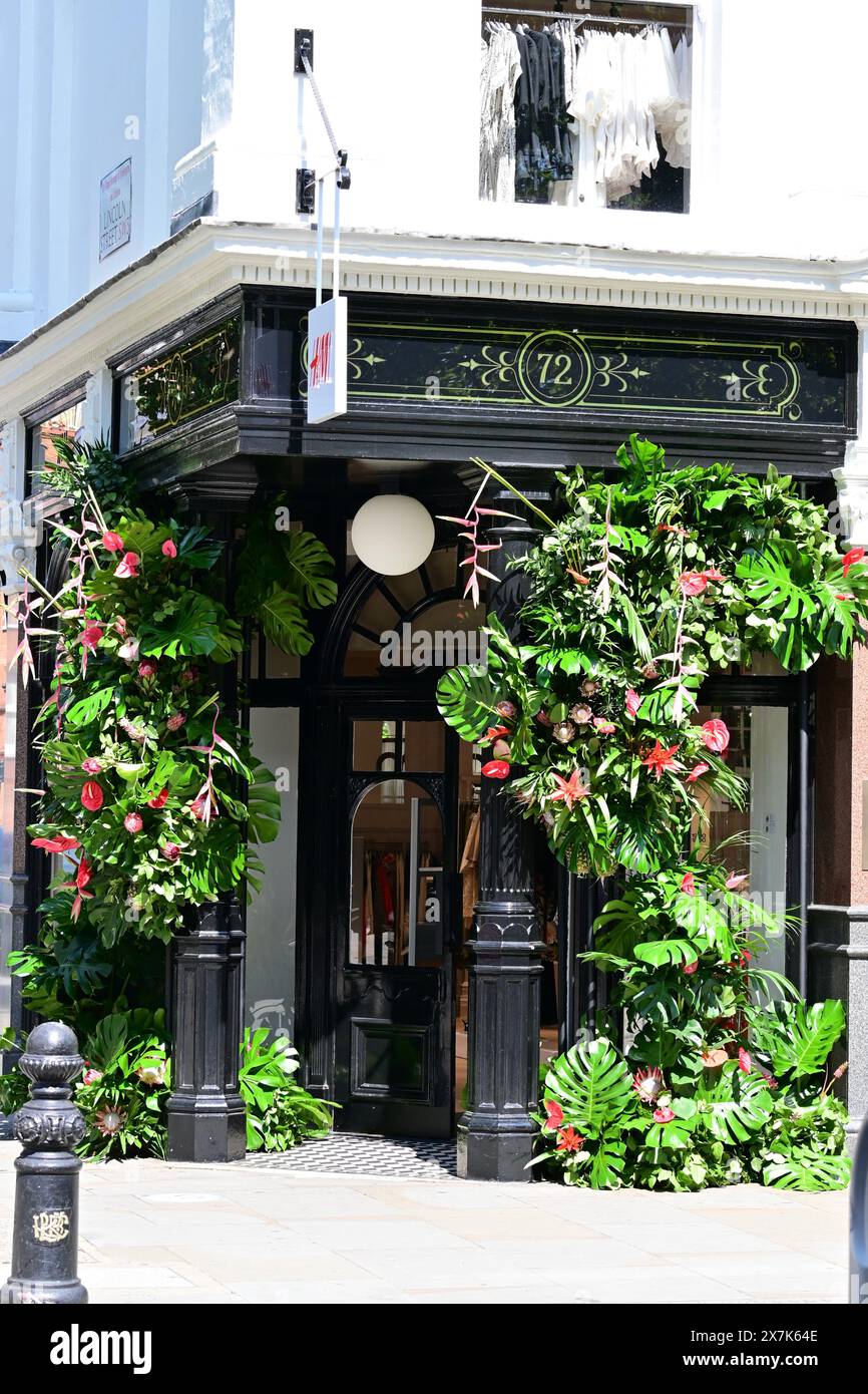 Flower Displays at Chelsea in Bloom, Floral Feasts 2024, Chelsea Stock ...