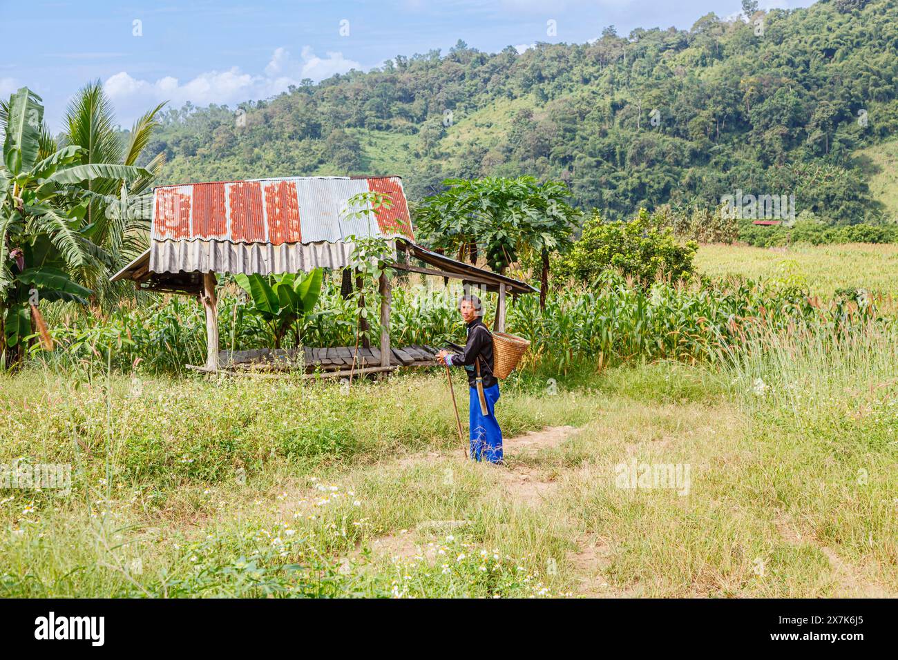 A young man carrying a wicker basket dressed in typical paj ntaub or ...