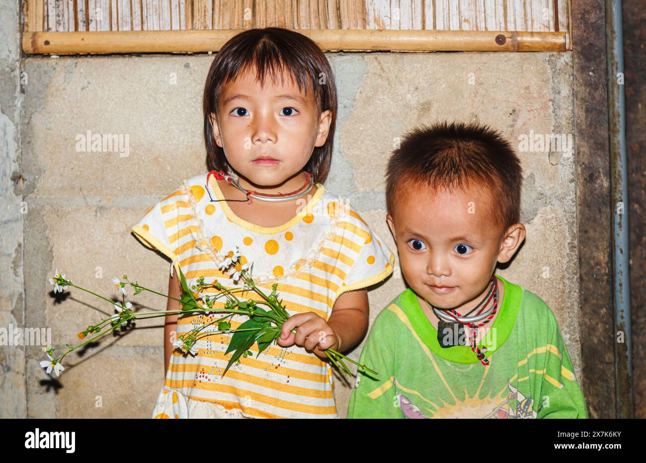 Cute, small, young Hmong children, boy and girl holding a bunch of ...