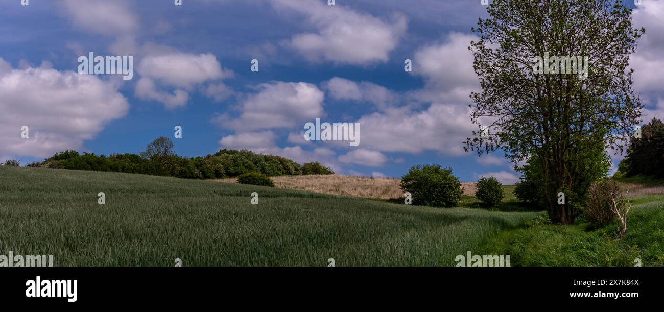 A rural route crossing alongside a field edge Stock Photo - Alamy