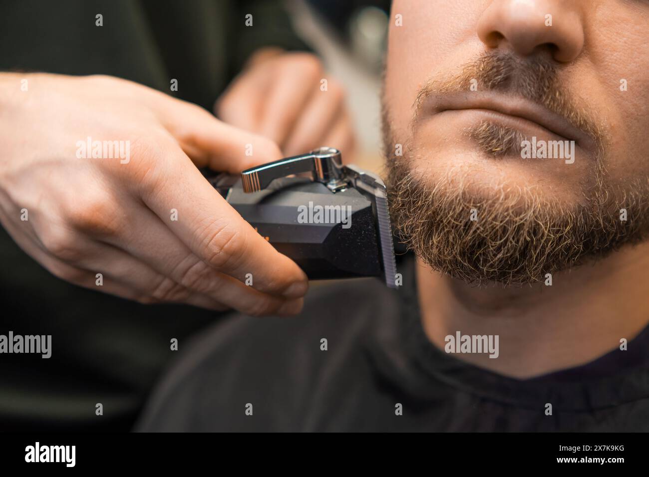 Master trims client hair professional hi-res stock photography and ...