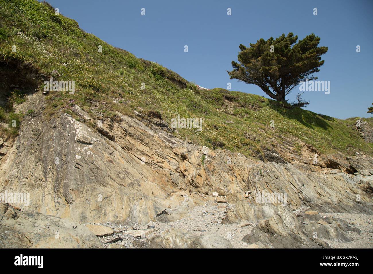 Pendower beach hi-res stock photography and images - Alamy