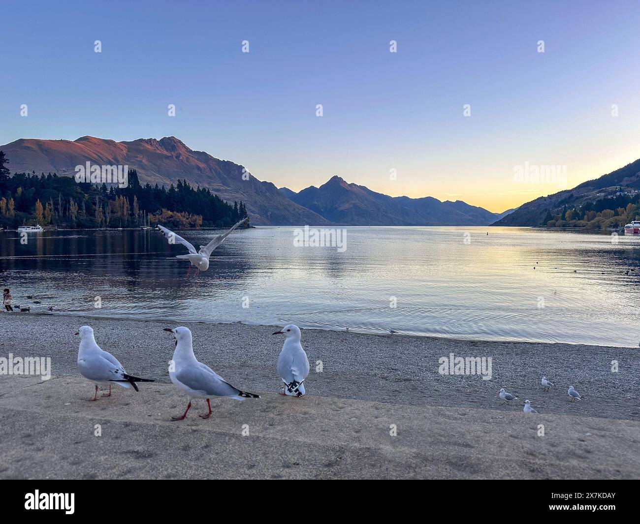 Nueva zelanda otago sunset hi-res stock photography and images - Alamy