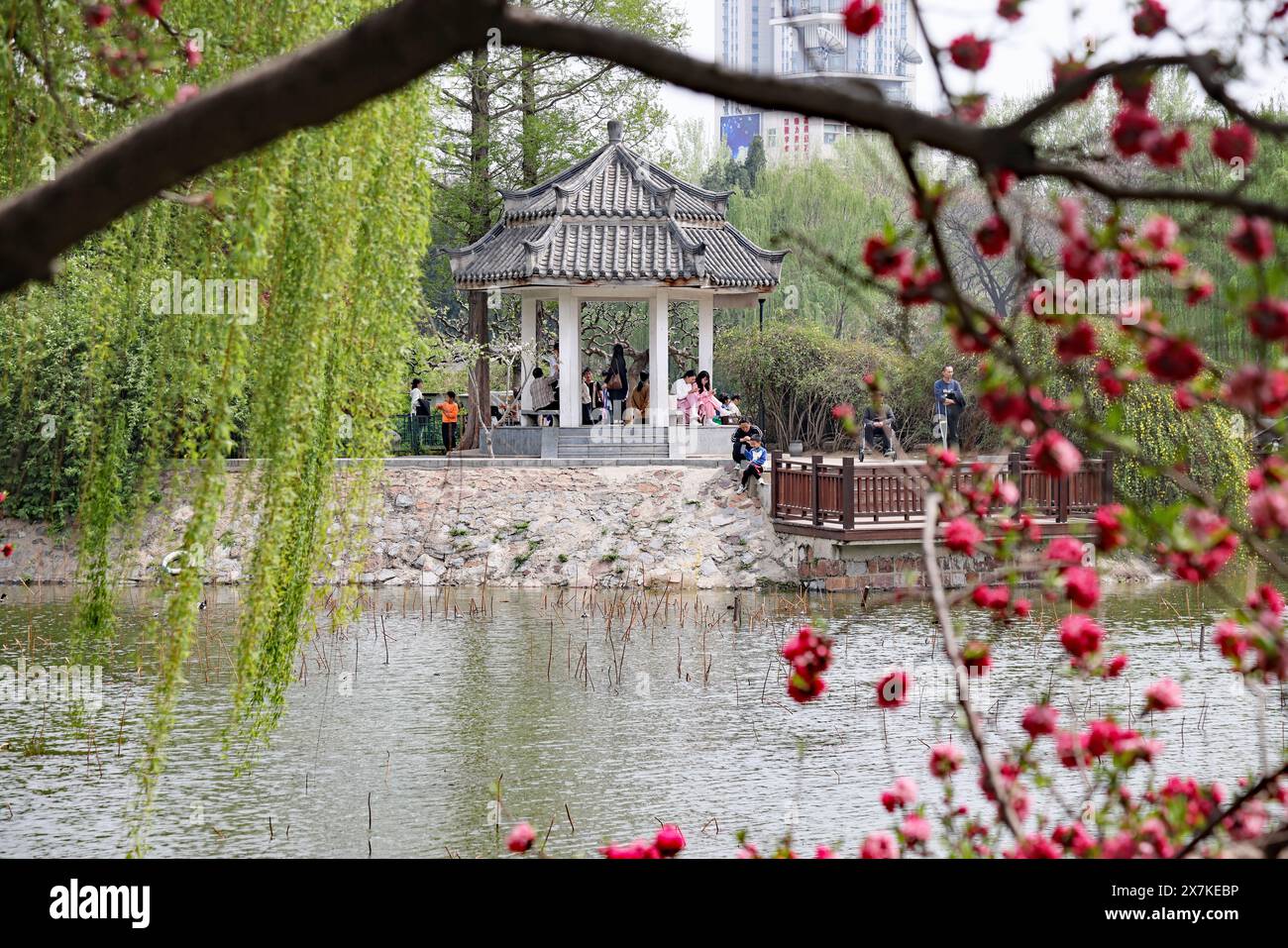 Svhnirt hi-res stock photography and images - Alamy