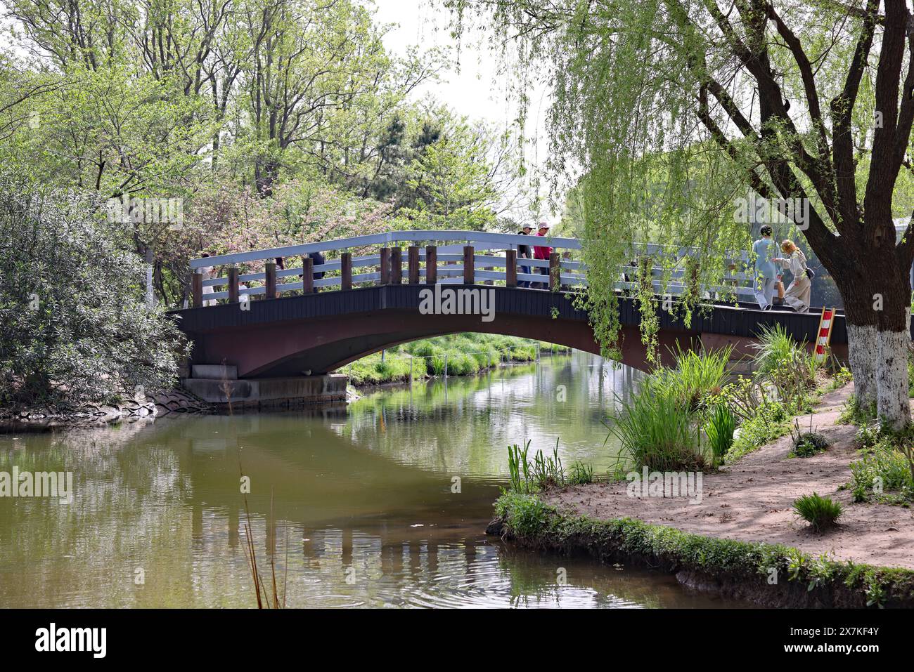 Century Park, Shanghai, China Stock Photo - Alamy Century Park, Shanghai, China Stock Photo - Alamy