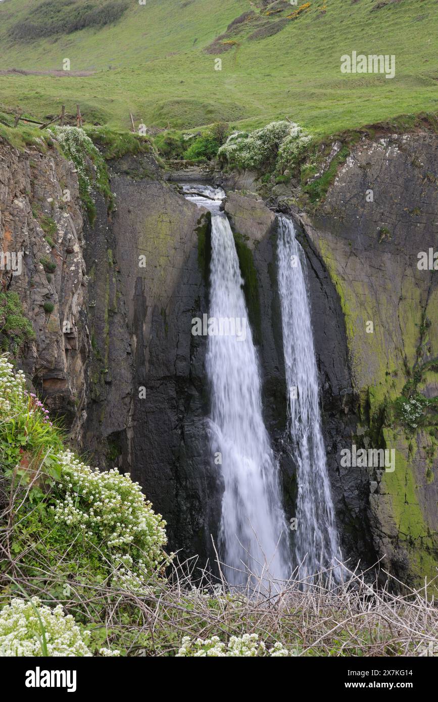 Speke mill mouth hi-res stock photography and images - Alamy