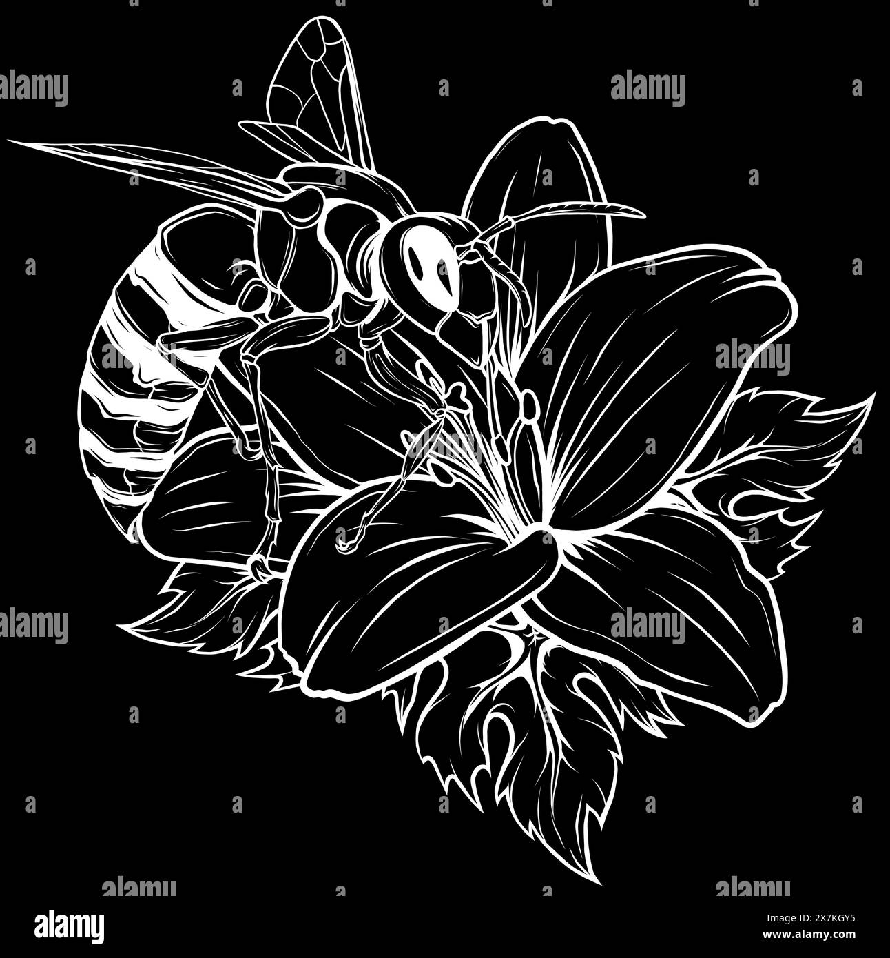 Honeybee on isolated white Black and White Stock Photos & Images - Alamy