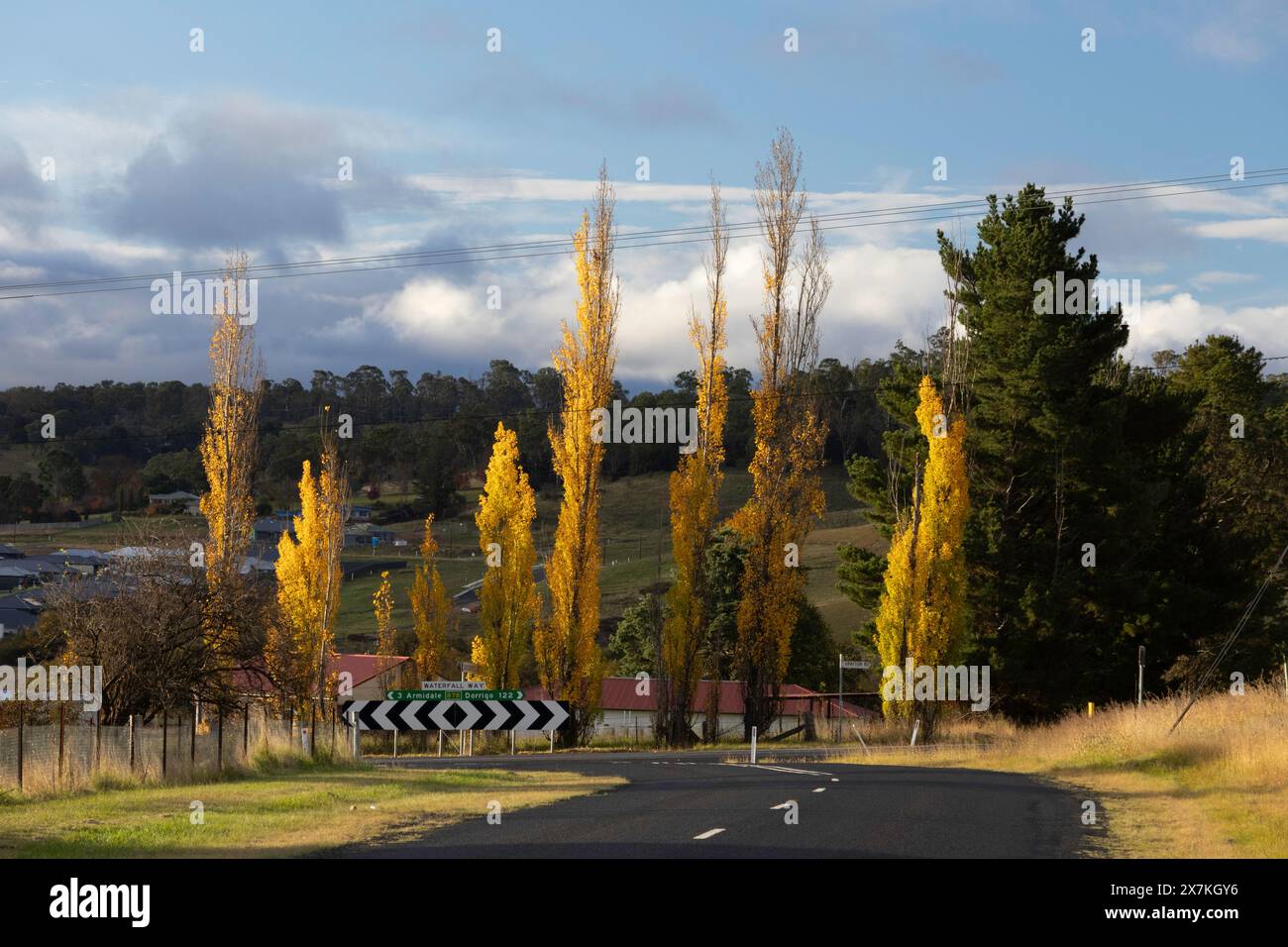 Autumn Colours in Armidale Stock Photo - Alamy