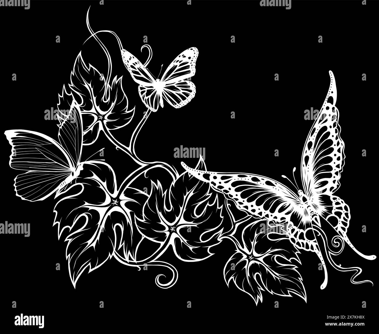 Beautiful black and white butterfly Outline vector illustration Stock ...