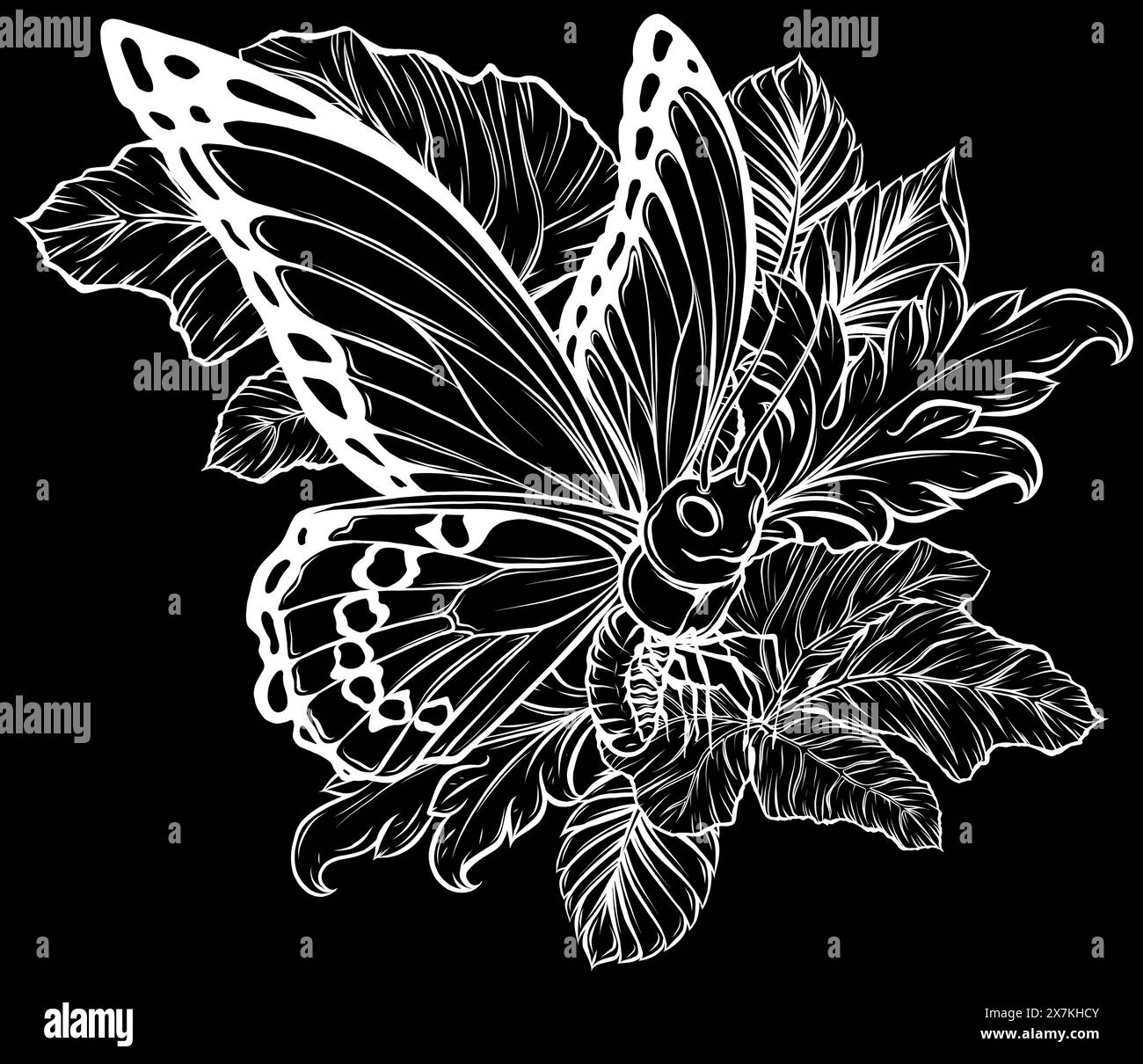 Butterfly icon in doodle Black and White Stock Photos & Images - Alamy