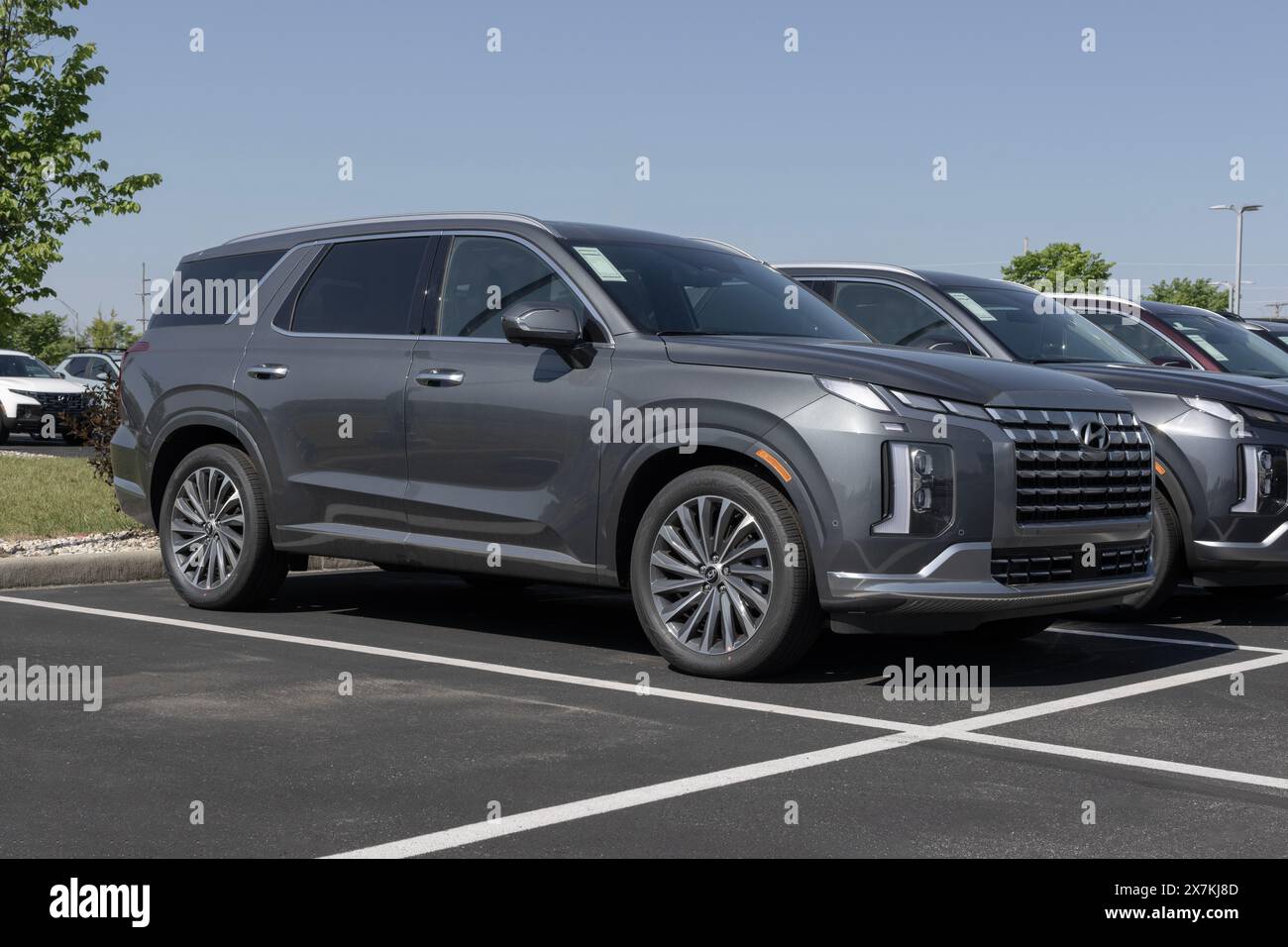 Noblesville - May 19, 2024: Hyundai Palisade Calligraphy display at a ...