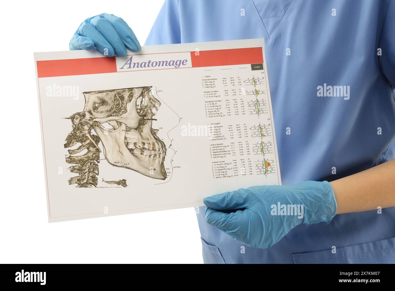 Doctor with visualization of human maxillofacial section for dental ...