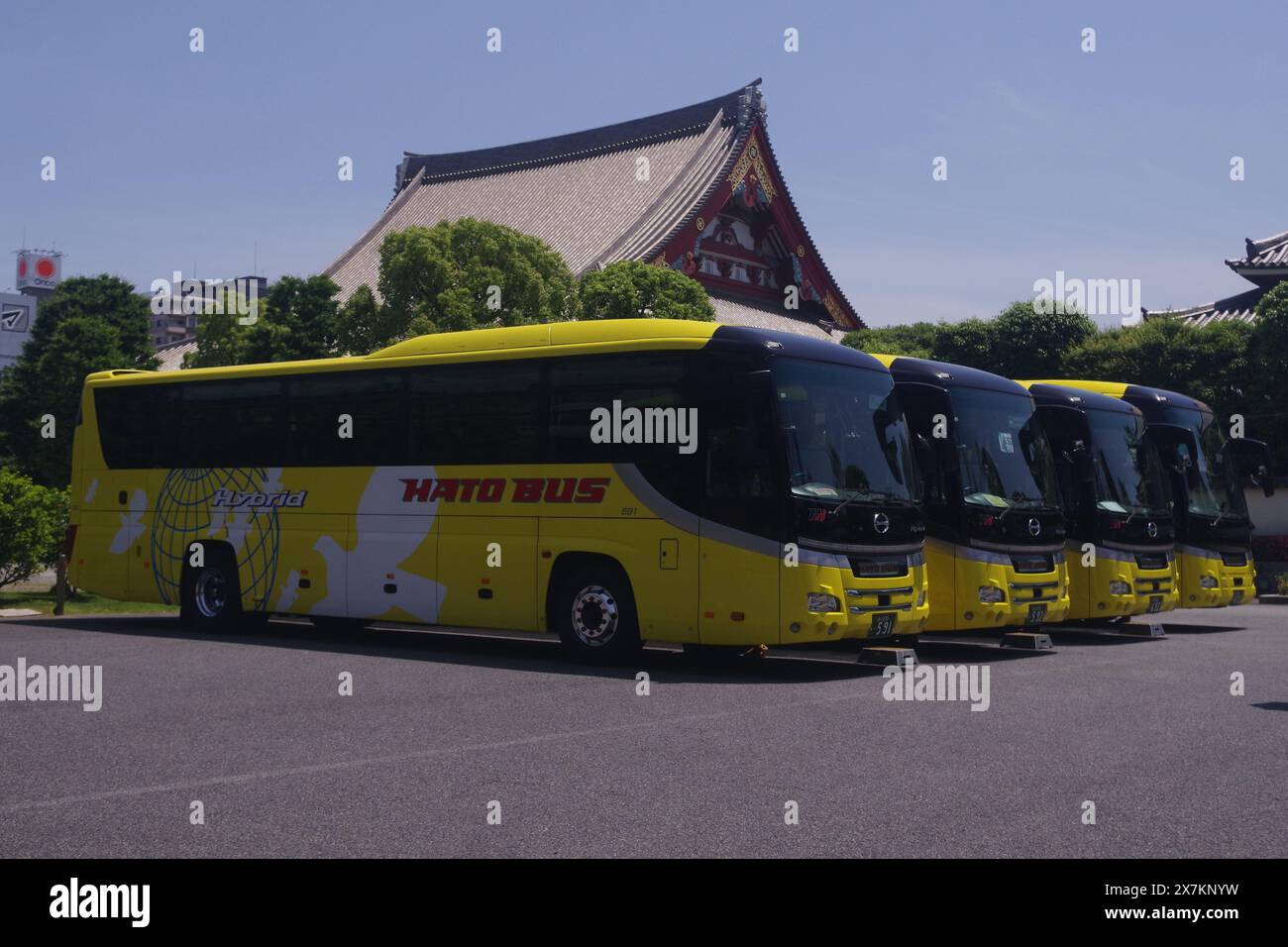 Hato Buses Parked in Asakusa, Tokyo, Japan Stock Photo - Alamy