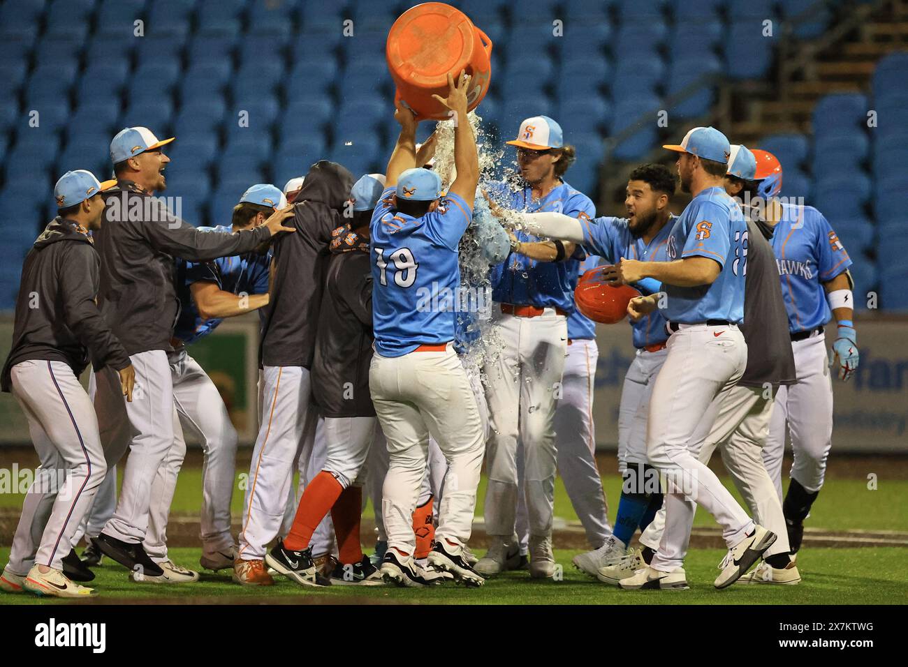 Staten Island FerryHawks Pablo Sandoval #48 is mobbed by teammates ...
