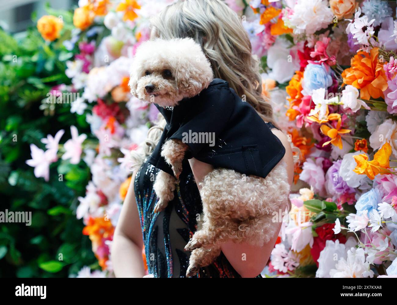 New York, United States. 20th May, 2024. Dogs dressed in replica Met ...