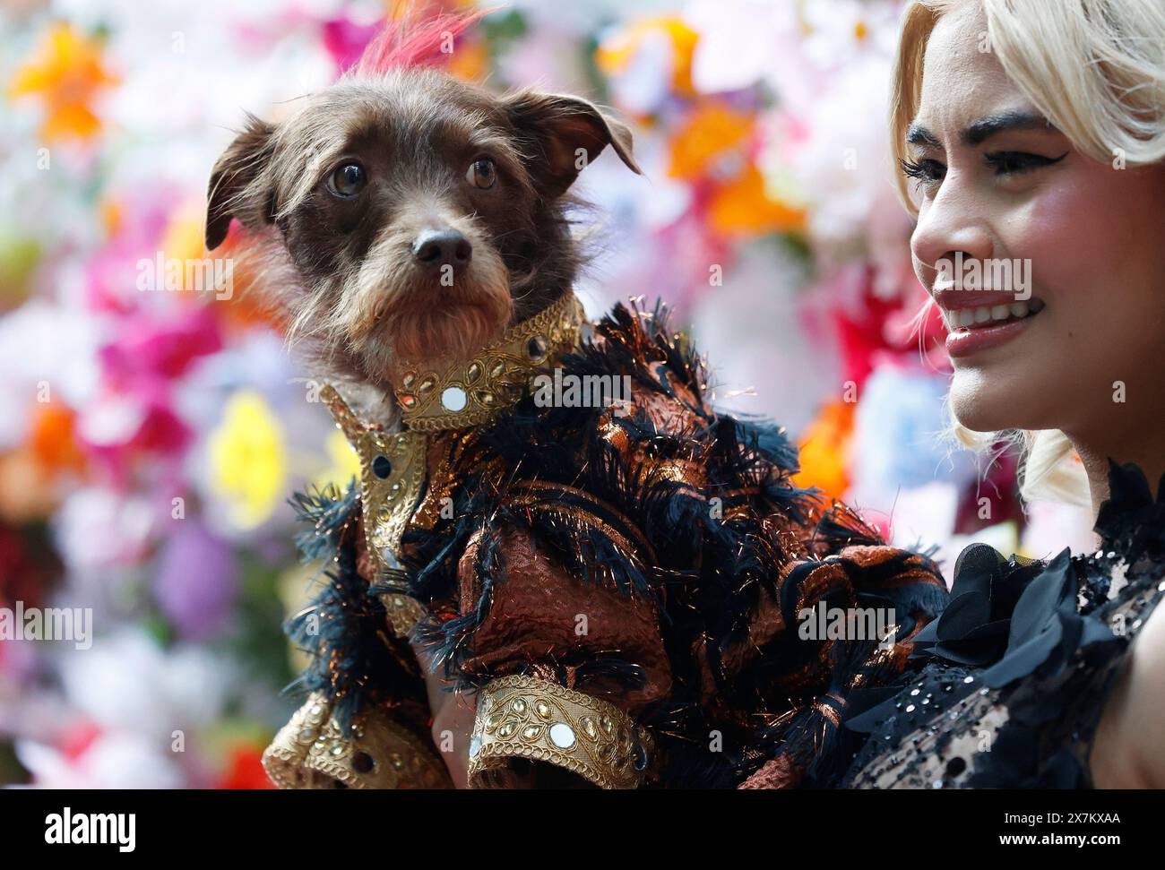 Replica designs hi-res stock photography and images - Alamy