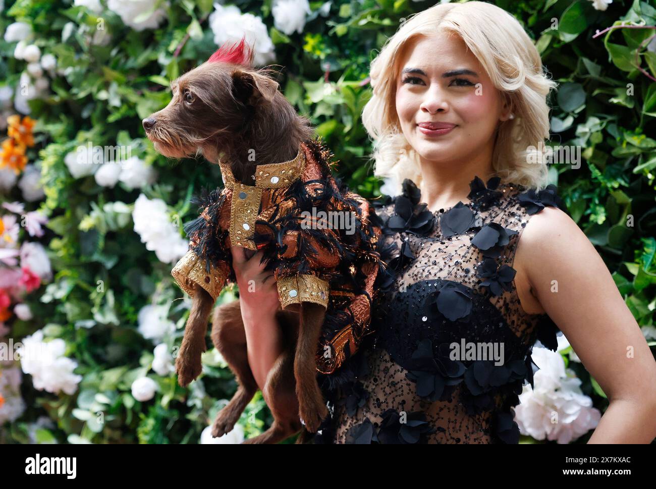 New York, United States. 20th May, 2024. Dogs dressed in replica Met ...