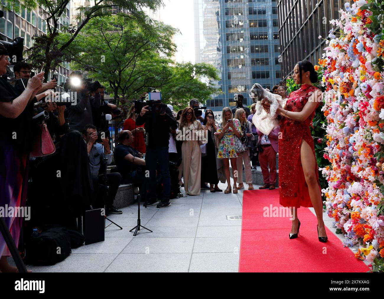 New York, United States. 20th May, 2024. Dogs dressed in replica Met ...