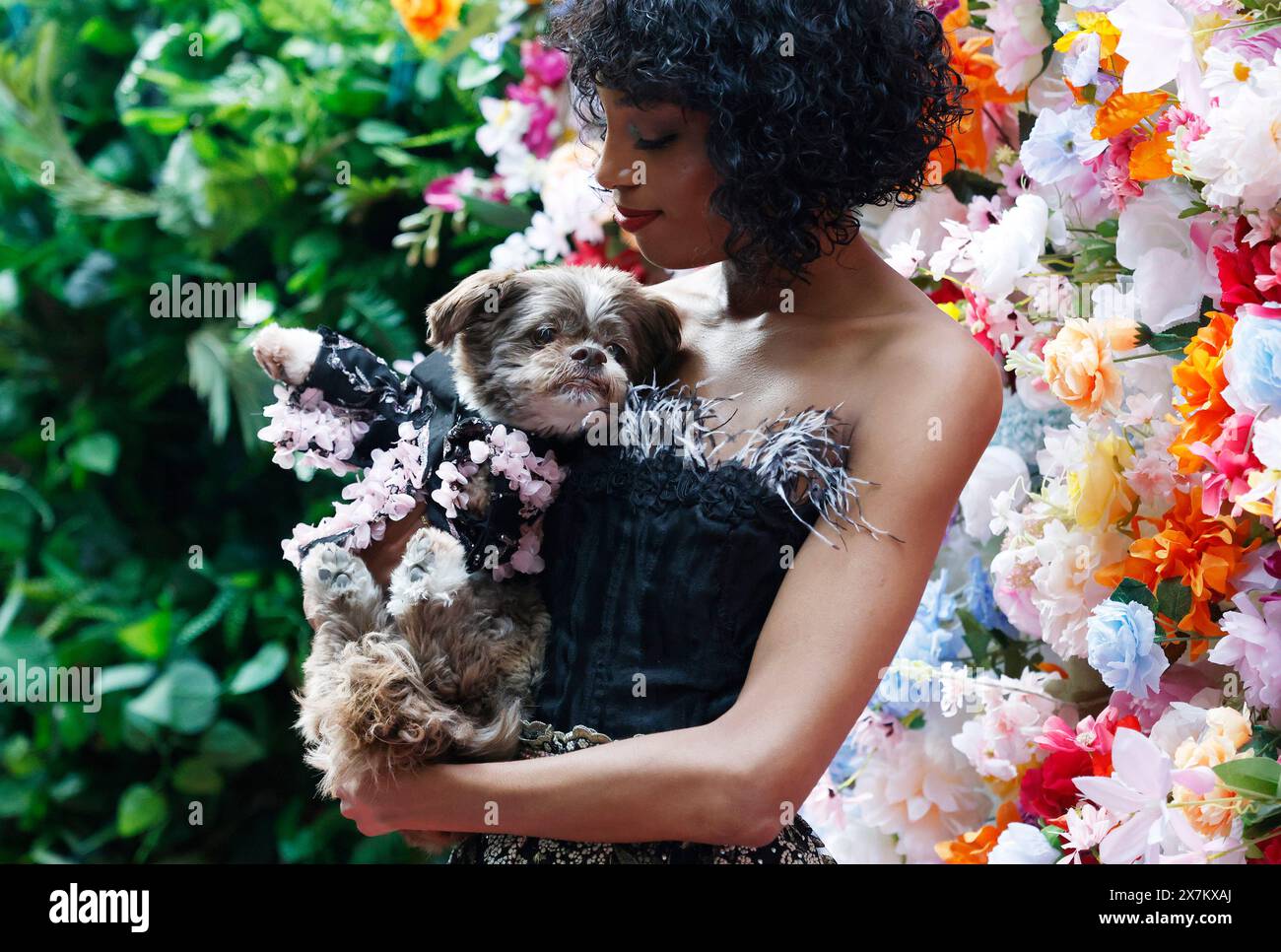 New York, United States. 20th May, 2024. Dogs dressed in replica Met ...