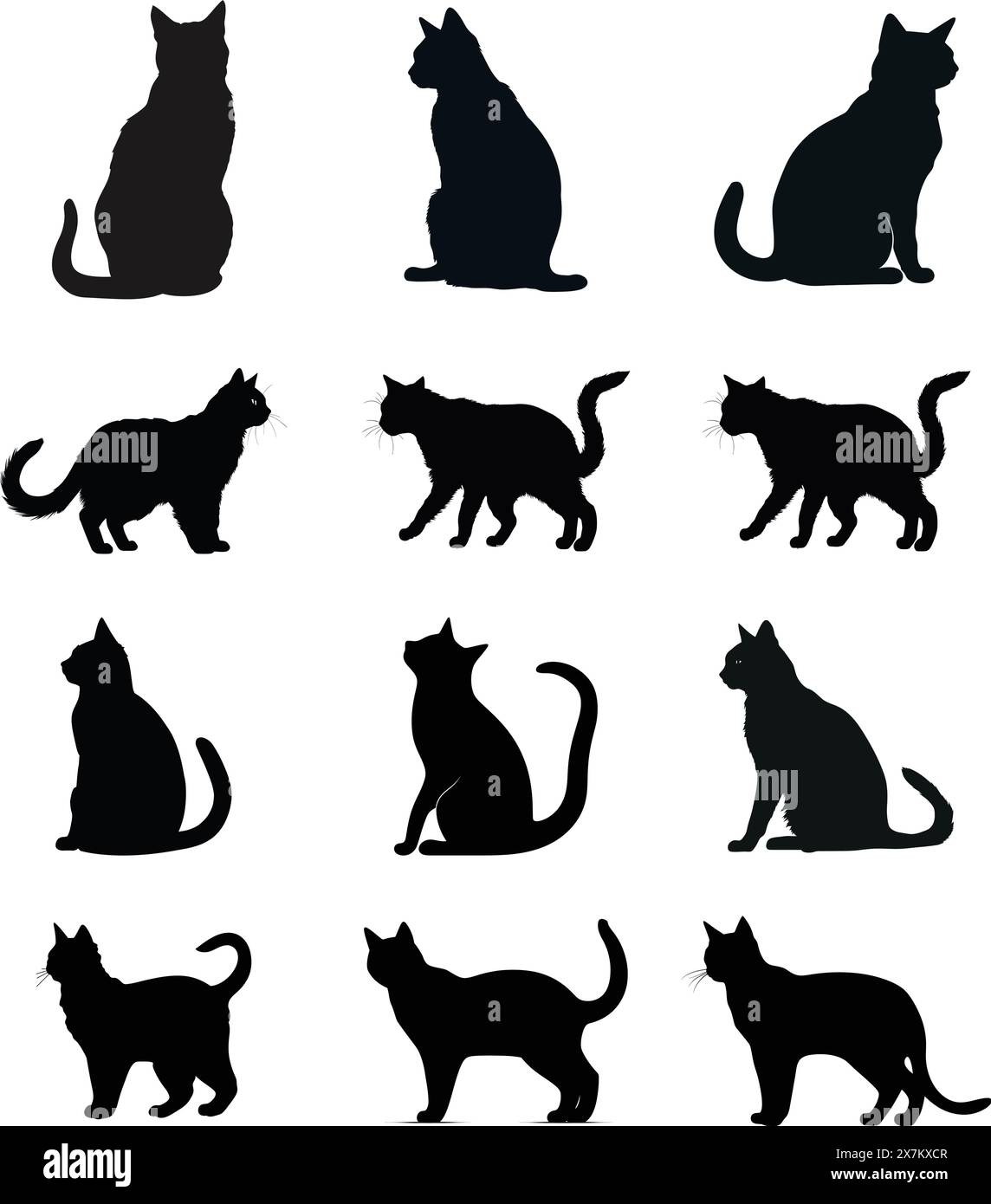 Cat bundle cat clipart cat silhouette vector hi-res stock photography ...