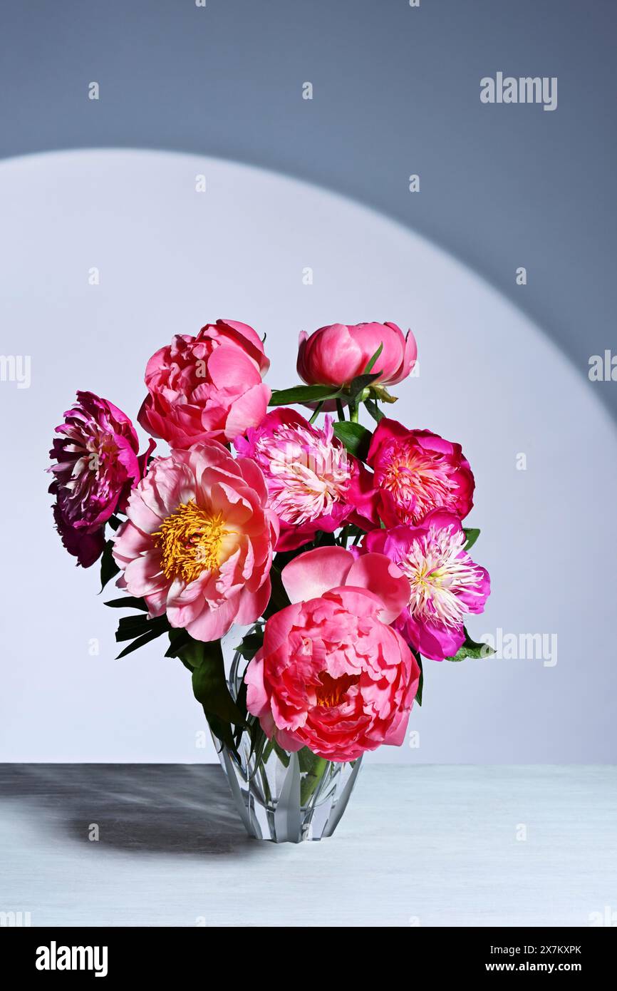 Bouquet of bright pink peonies on white background Stock Photo - Alamy