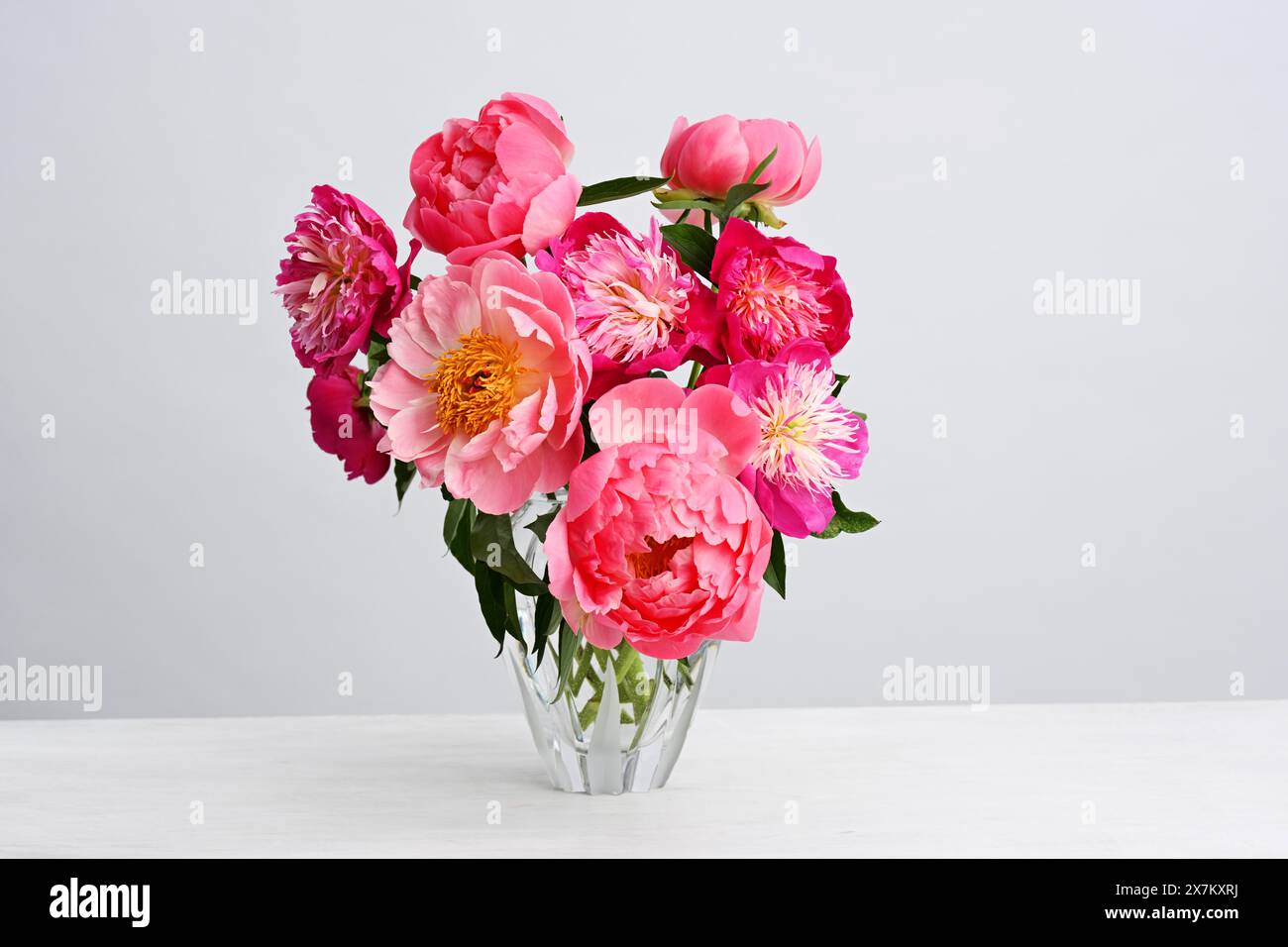 Bouquet of bright pink peonies on white background Stock Photo - Alamy