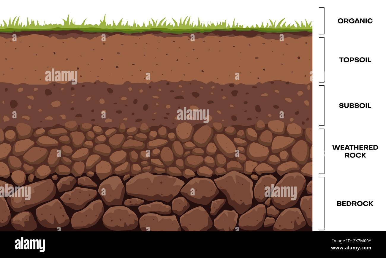 Soil layer infographic, earth geology formation. Bedrock, weathered ...