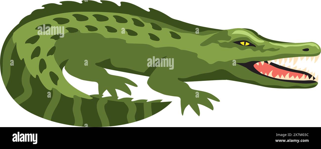 crocodile predatory reptile Stock Vector Image & Art - Alamy