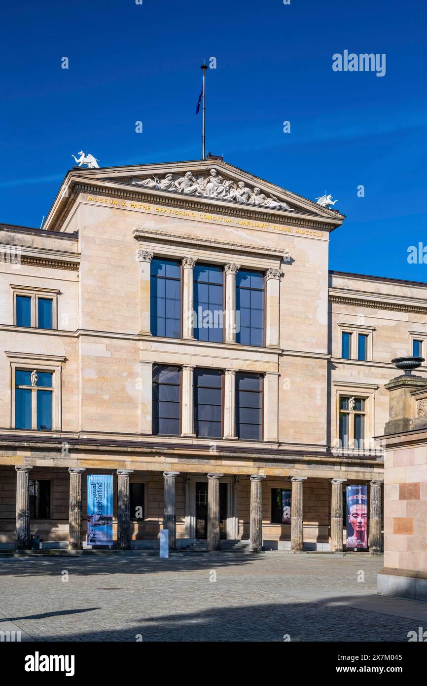 Neues Museum, Museum Island, Mitte, Berlin, Germany Stock Photo - Alamy