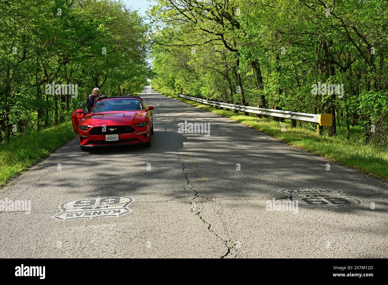 Red Ford Mustang parked on historic Route 66 in the middle of a forest ...