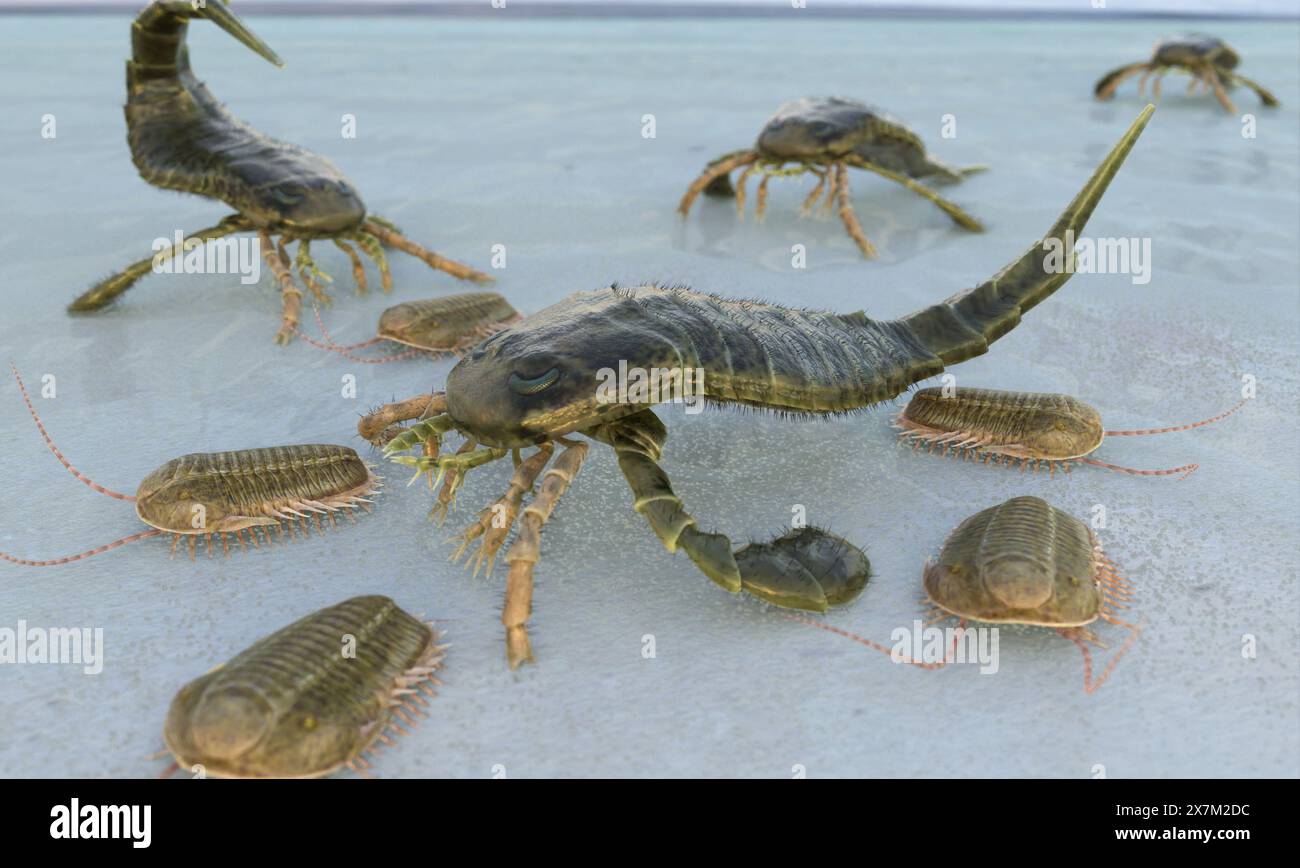 A 3D illustration of extinct Eurypterids (sea scorpions) and Trilobites ...