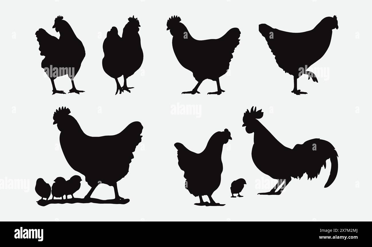 Chicken and rustic style Stock Vector Images - Alamy