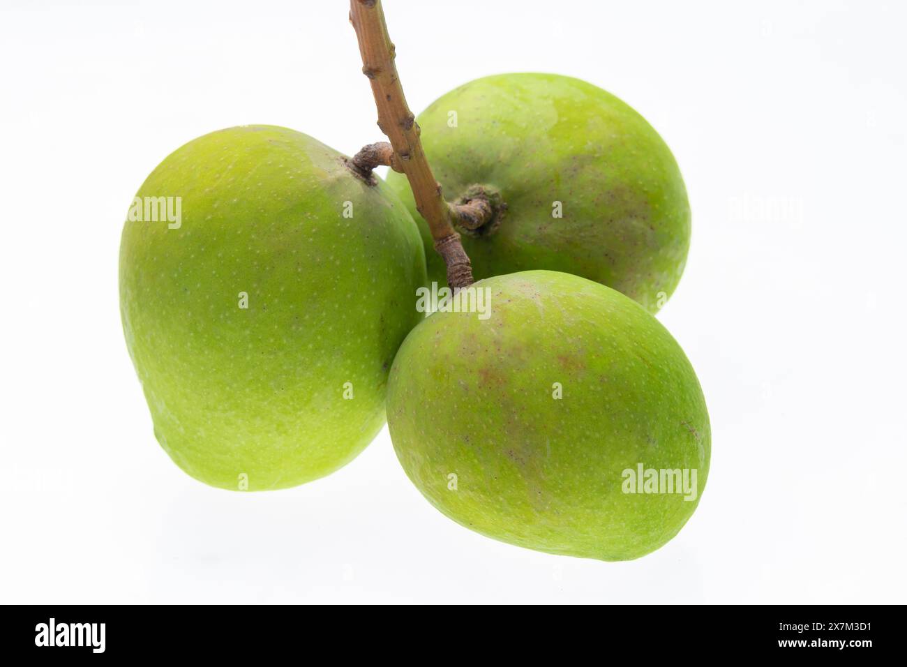 Bunch of mangoes on white background, close-up Stock Photo - Alamy