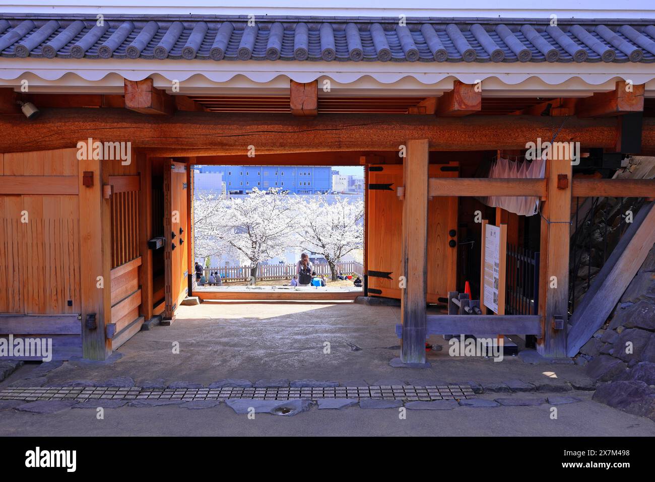 Maizuru Castle Park with cherry blossoms at Marunouchi, Kofu, Yamanashi ...