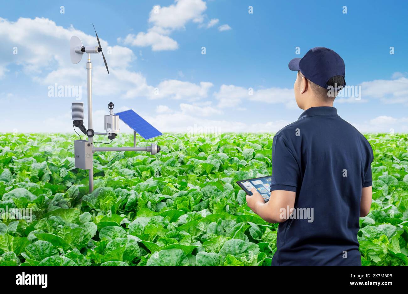 Agriculture technology with farmer or engineer work with weather ...