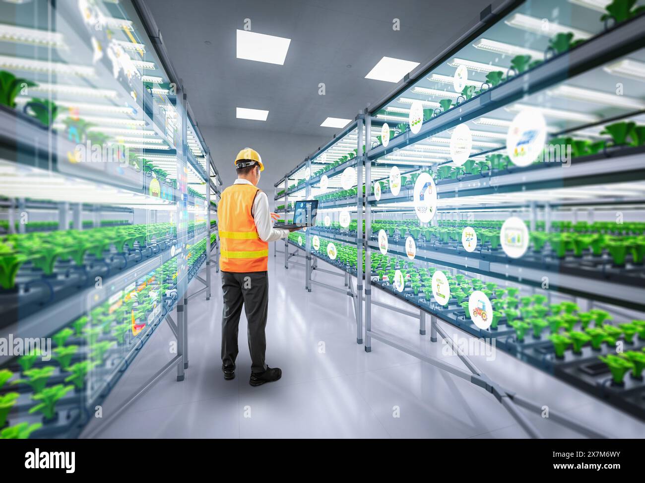 Agriculture technology with worker in smart indoor farm system raised ...