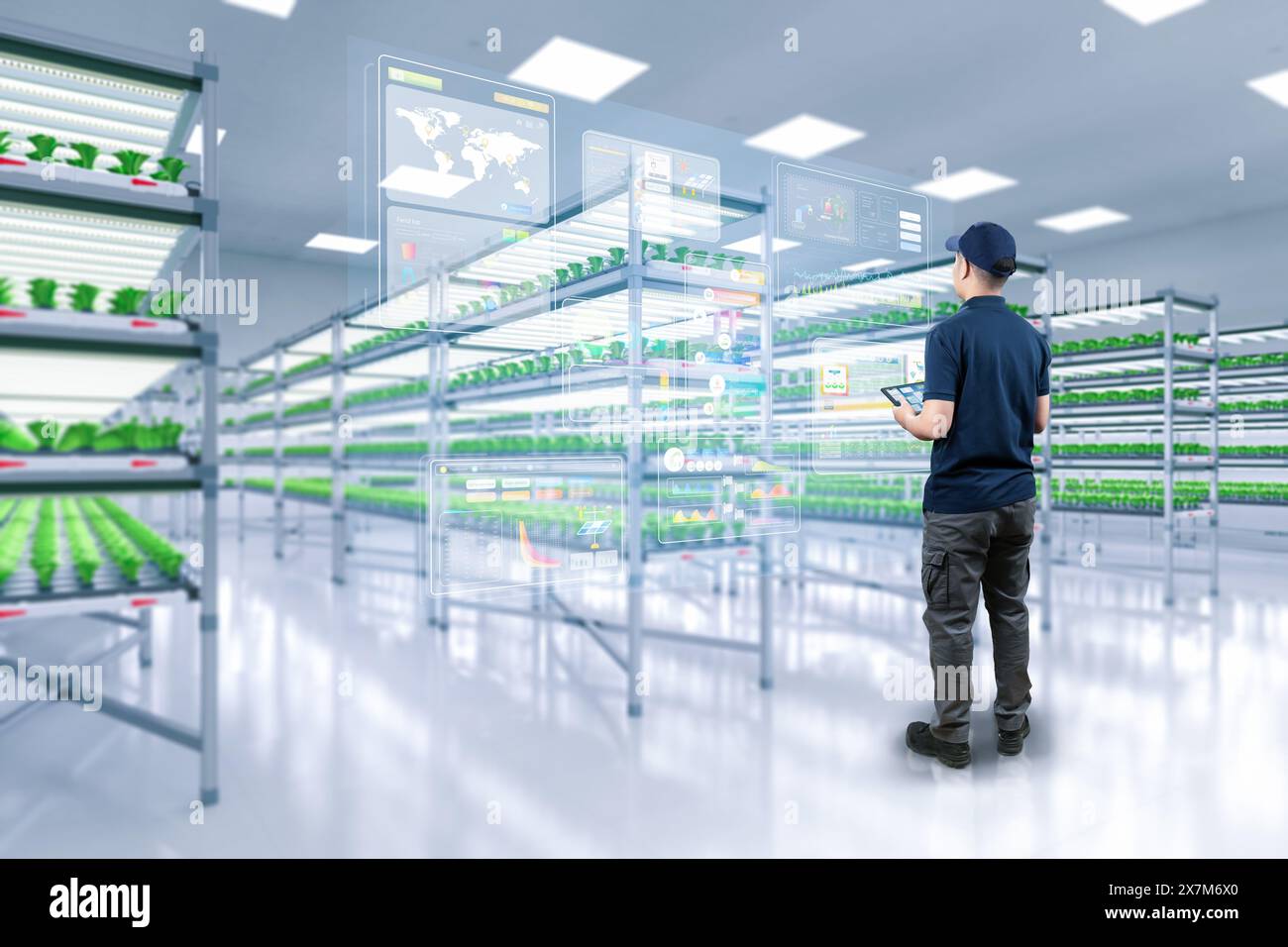 Agriculture technology with worker in smart indoor farm system raised ...