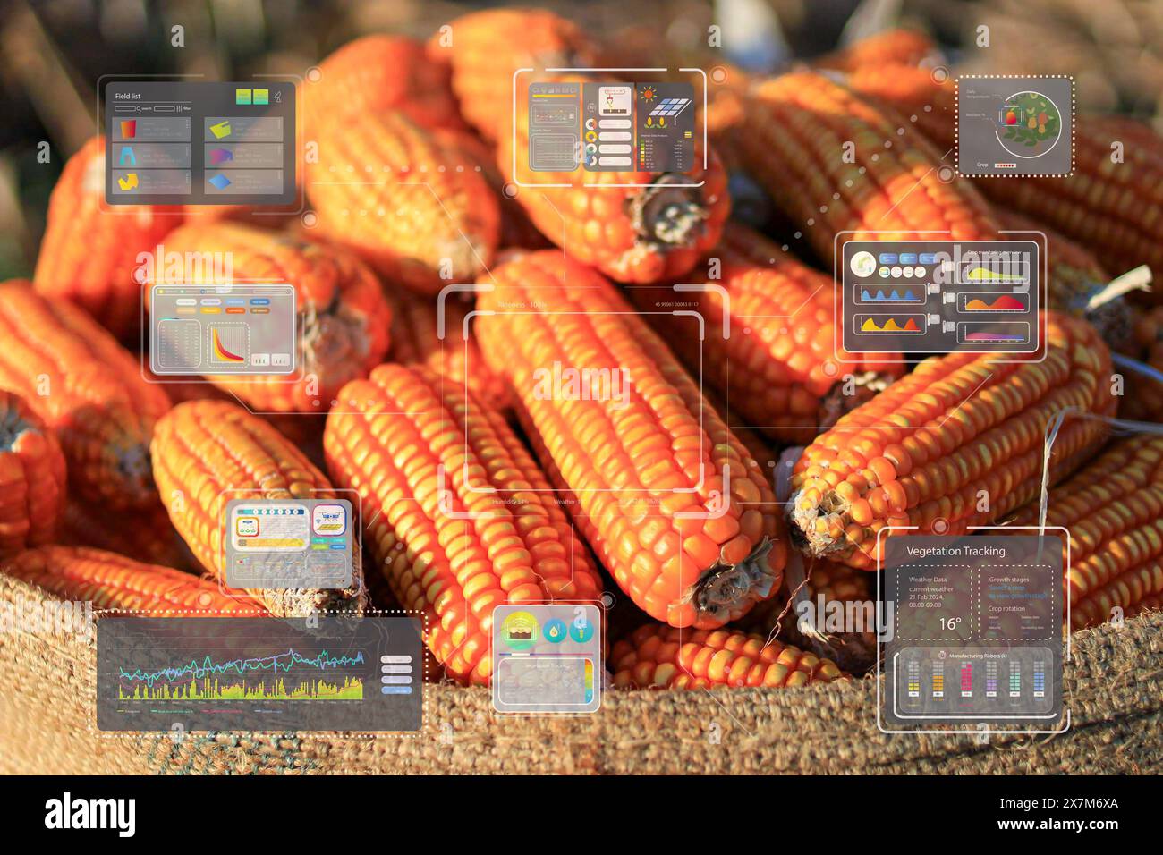 Automation farm for precision agriculture technology with digital ...