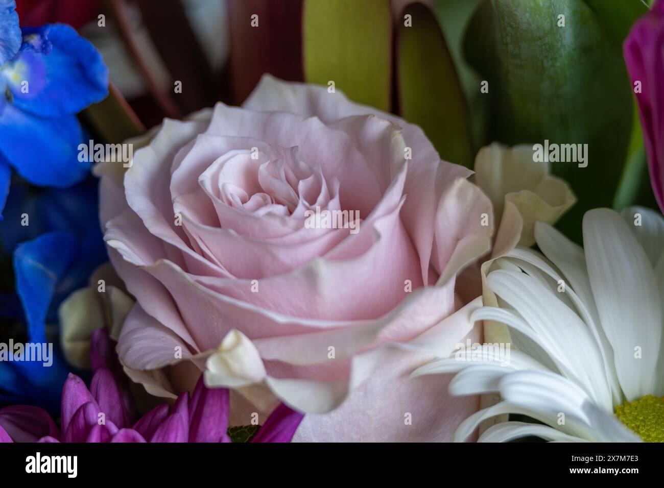 Close up texture background of an indoor florist’s bouquet arrangement ...