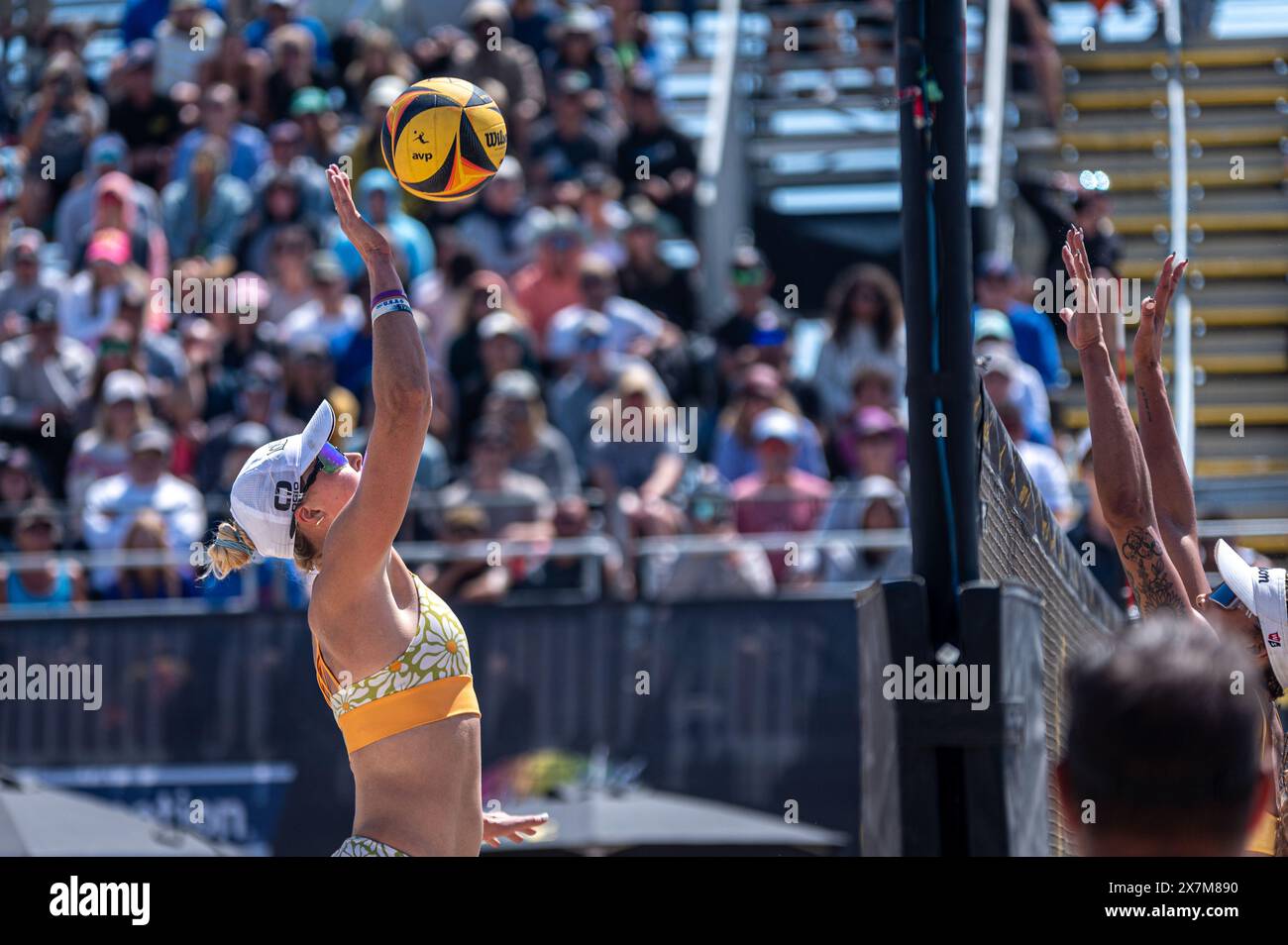 Brandie wilkerson hi-res stock photography and images - Alamy