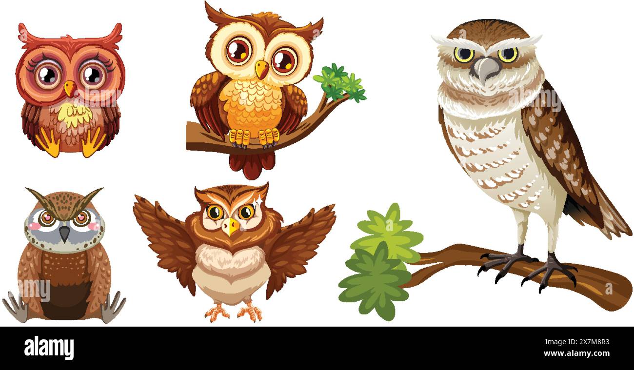 Five diverse owls illustrated in vibrant colors Stock Vector Image ...