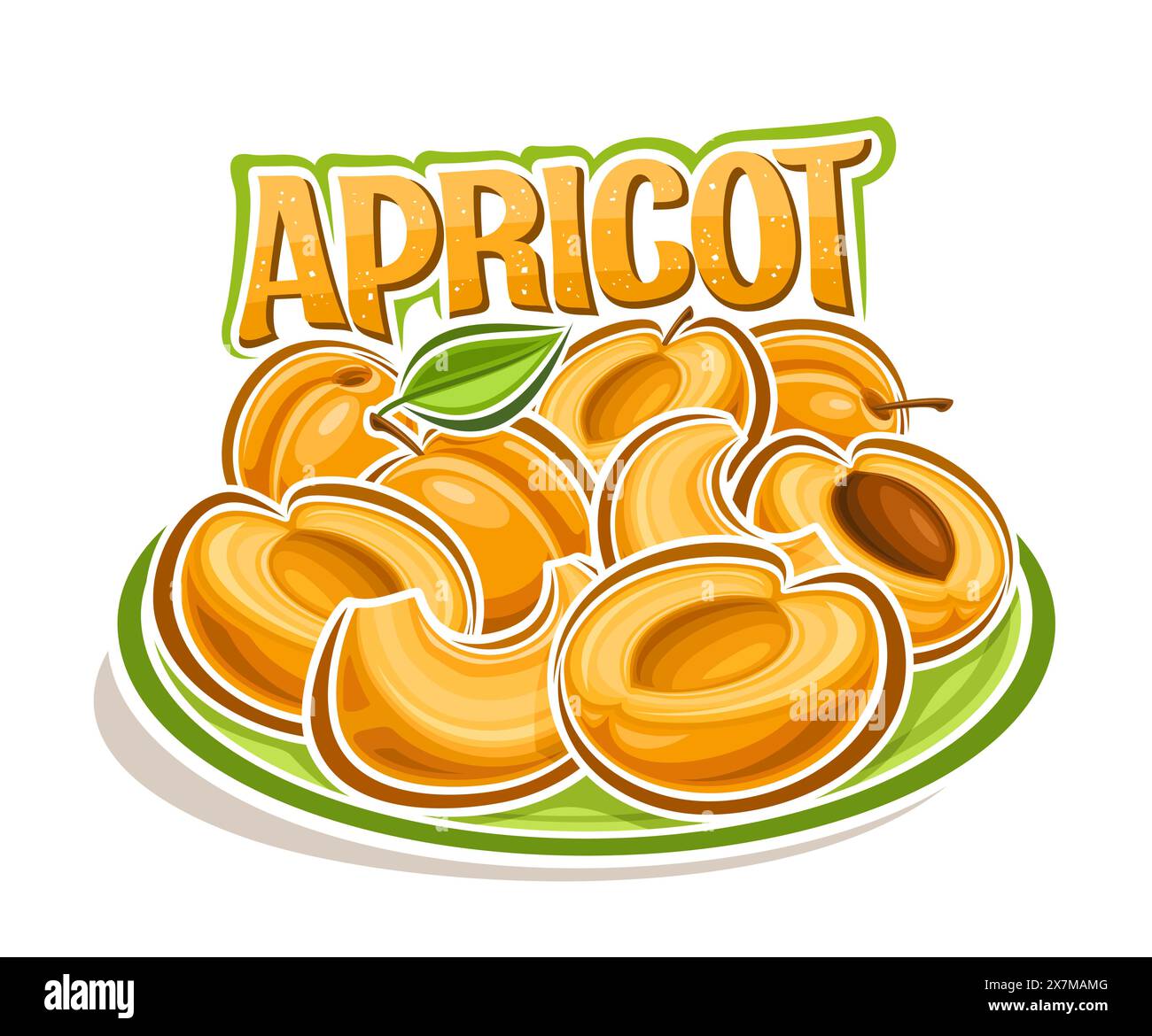 Vector logo for Apricot, decorative horizontal poster with outline ...