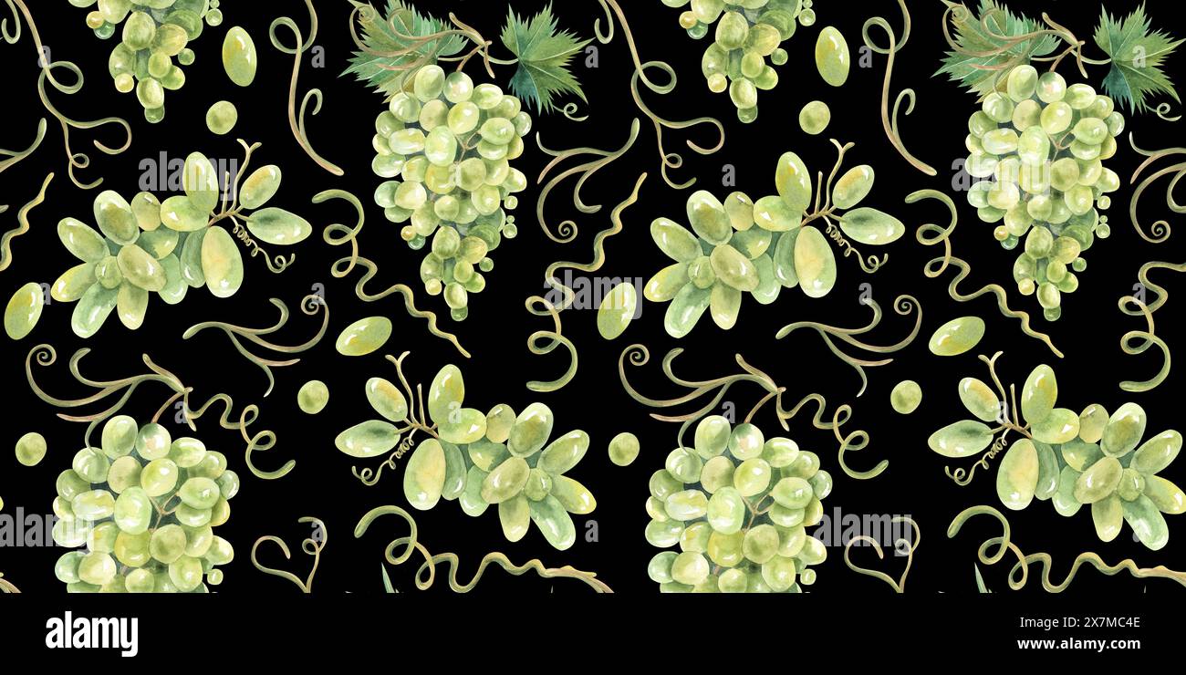 Green grapes, vine watercolor, seamless pattern. Hand drawn. For ...