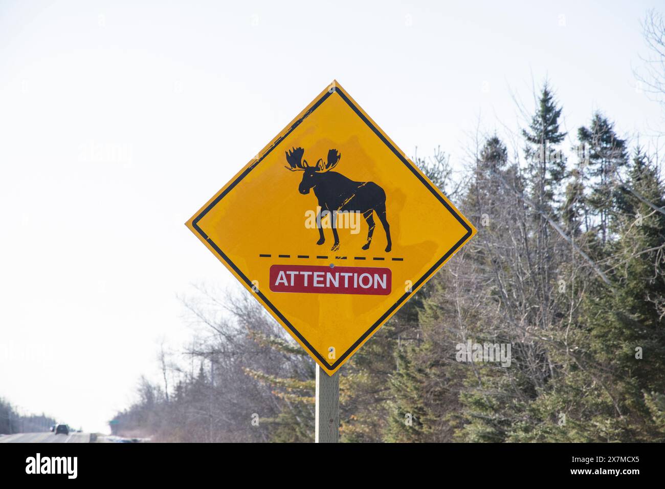 Moose warning sign on NB 134 in Cocagne, New Brunswick, Canada Stock ...