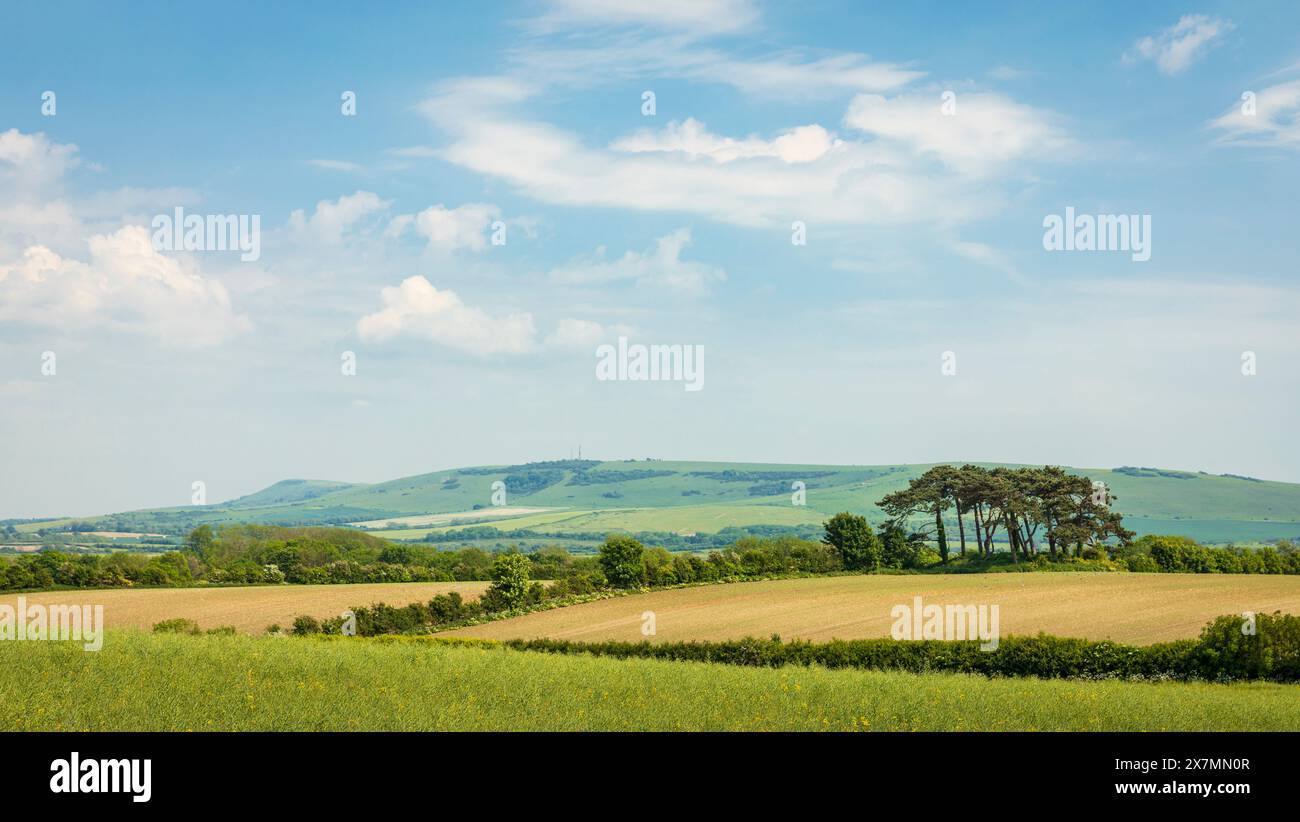 Expansive views of the south downs from the Iford Estate near Lewes ...