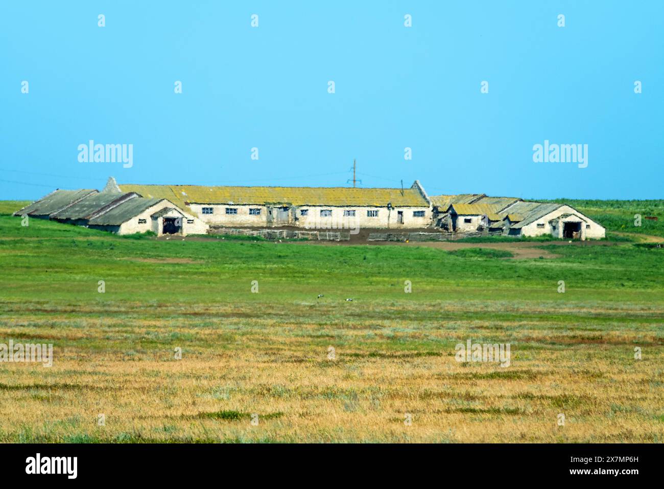 An old abandoned sheepfold shed with sheephouse (sheep farm) in the ...