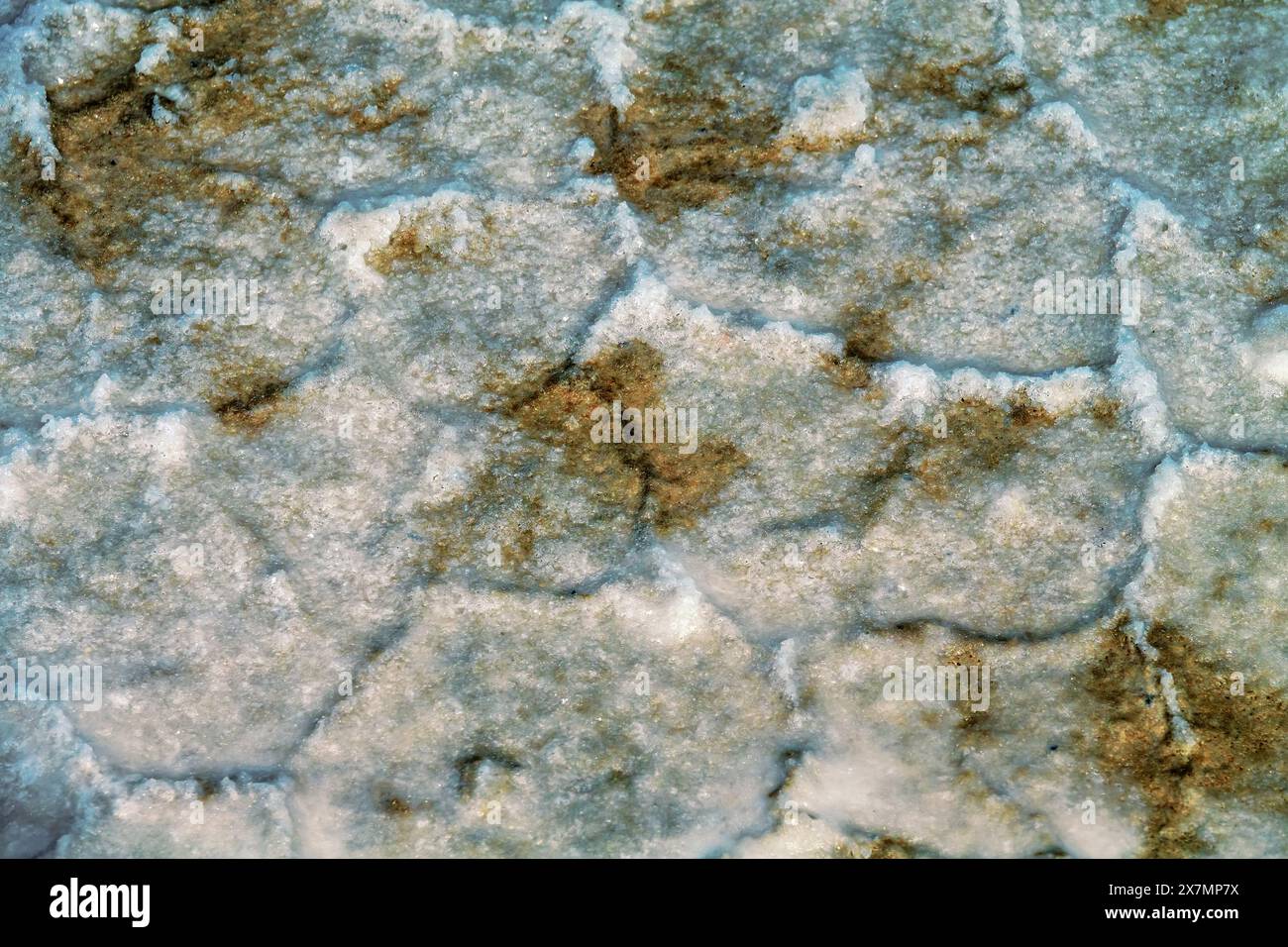 Pedology. Dried-up lake basin (dry lakebed) with a crust is called an ...